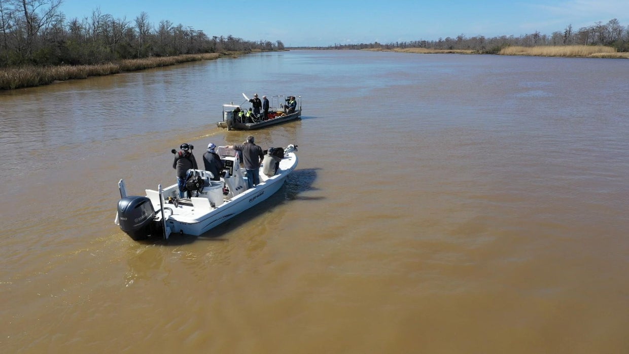 Descendants of Alabama slave owner on trying to make amends | 60 ...