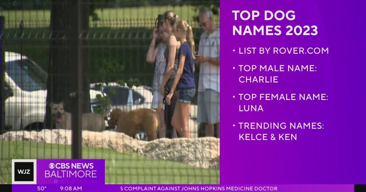 Rover announces most popular pet names - CBS Baltimore