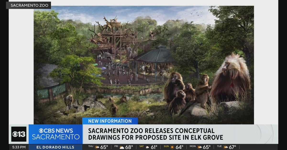 Sacramento Zoo releases conceptual drawings for proposed site in Elk ...