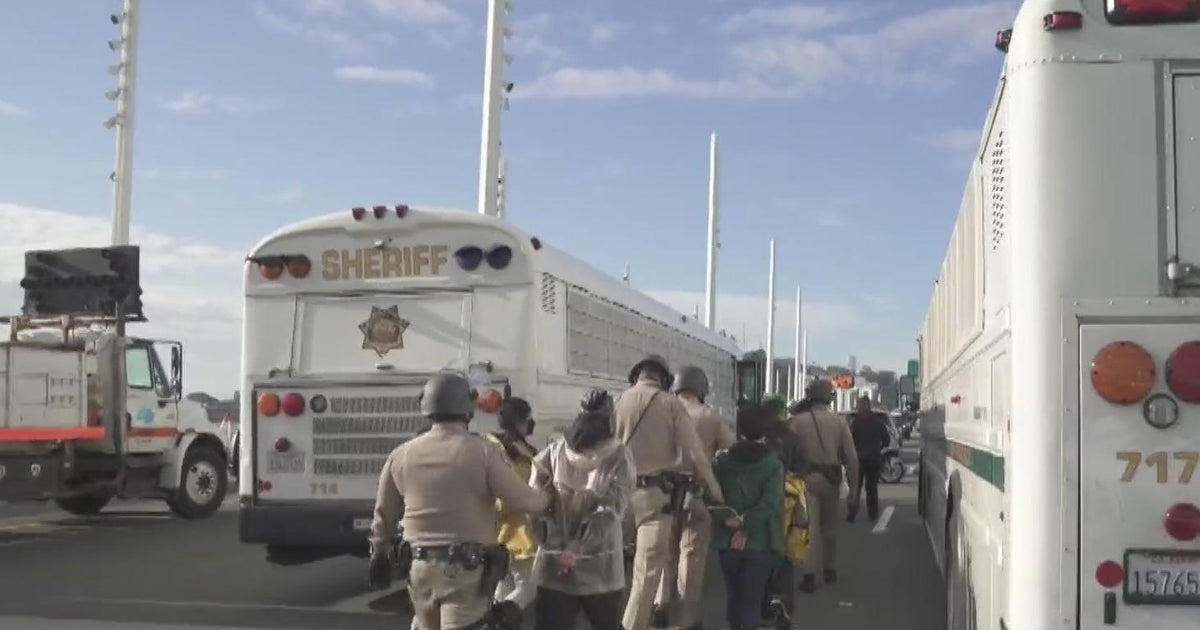 Dozens of protesters arrested after Bay Bridge demonstration causes ...