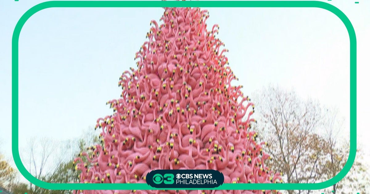 25-foot flamingo tree returns as part of LumiNature at Philadelphia Zoo ...