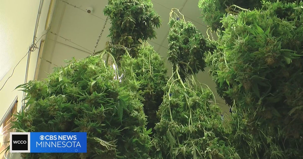 University of Minnesota launches state's first research center for ...