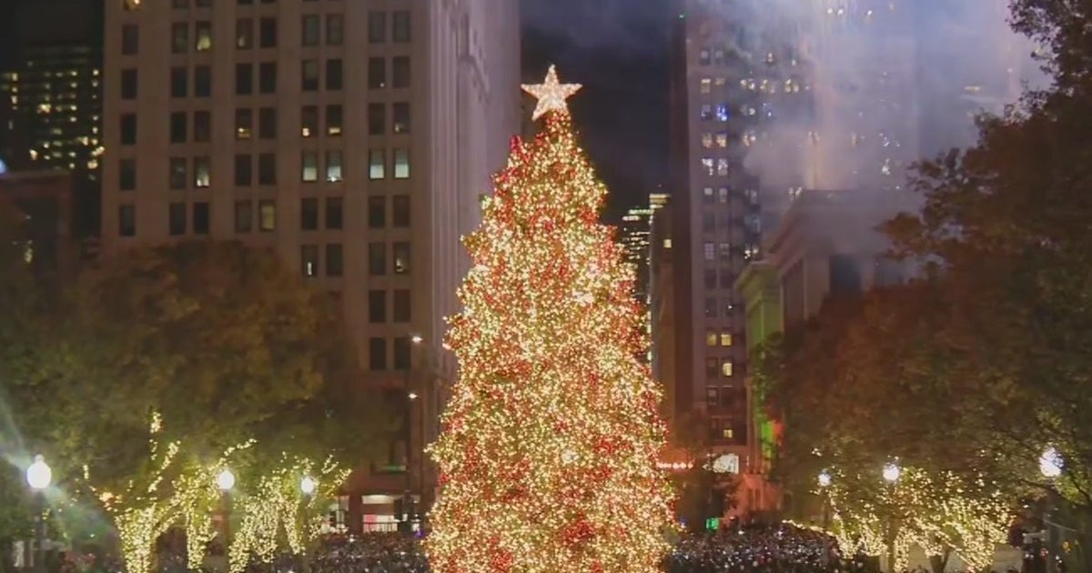Chicago lights up the Millennium Park tree to kick off the holiday ...