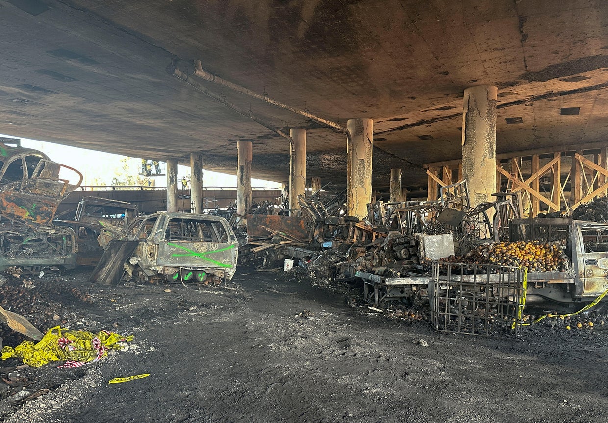 Key L.A. freeway hit by arson fire reopens weeks earlier than expected ...
