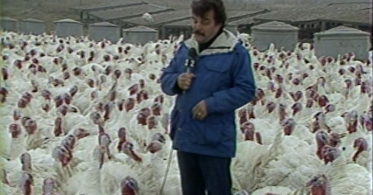 CBS 2 Vault: A visit to the Ho-Ka Turkey Farms with Bob Wallace - CBS ...
