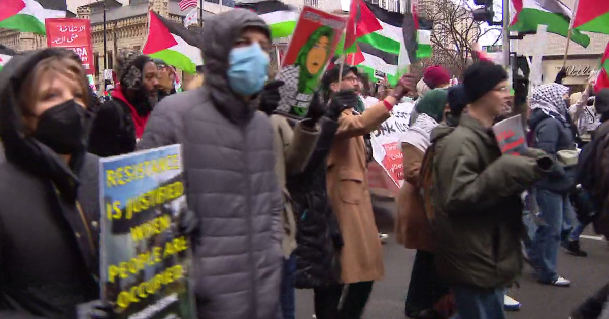 Pro-Palestinian protest takes to Mag Mile on Black Friday - CBS Chicago