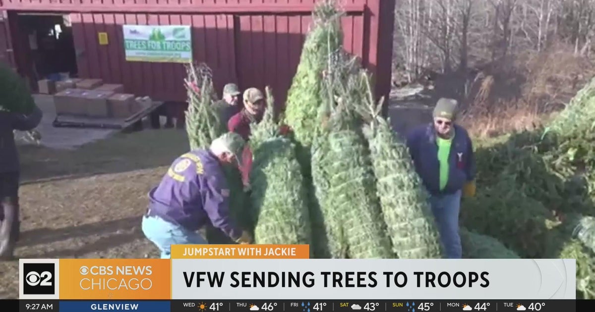 VFW sending trees to troops - CBS Chicago