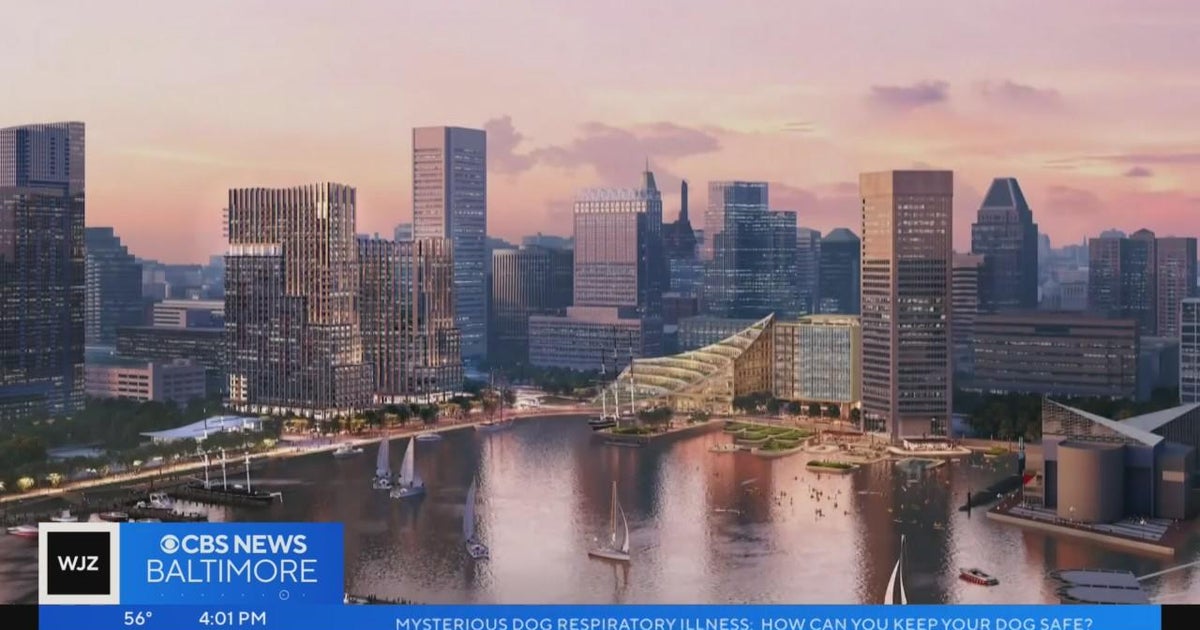 Community gives input on the Baltimore Harborplace proposed ...