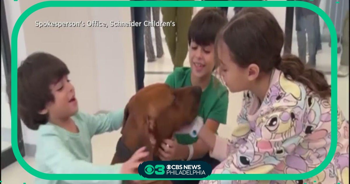 Pet Project: How pets can help their owners cope and recover after ...