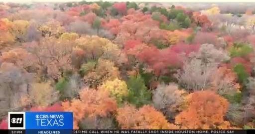 Fall foliage at its peak in Texas, enjoy it! - CBS Texas