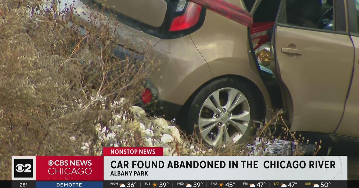 Abandoned car pulled from north branch of Chicago River - CBS Chicago