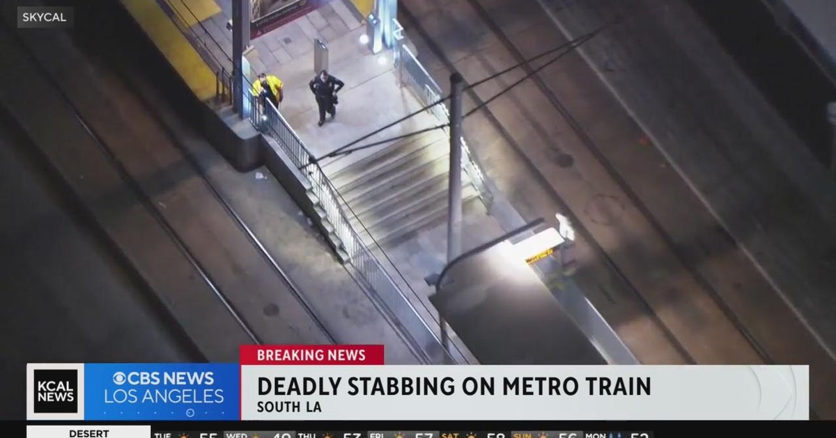 DA says fatal stabbing on Metro E train was self-defense; suspect ...