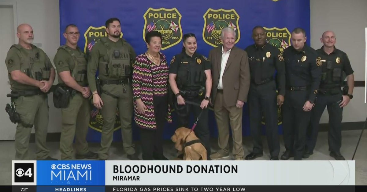 Miramar police welcome new bloodhound from Jimmy Ryce Center - CBS Miami