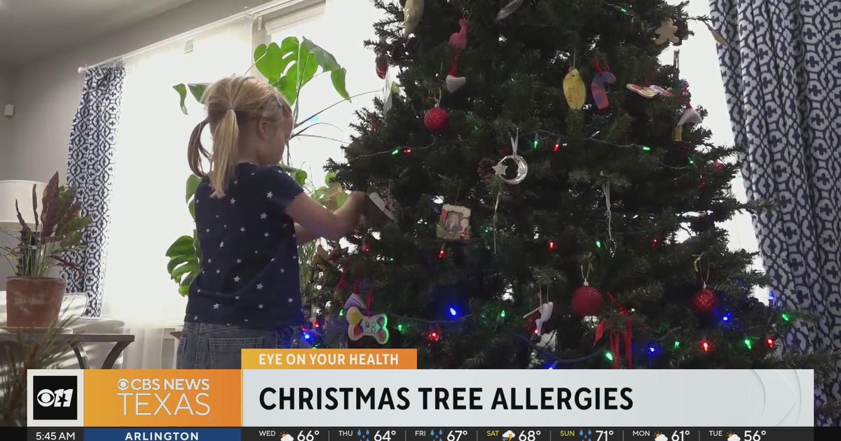 Christmas Tree Syndrome may be the cause of your allergies - CBS Texas