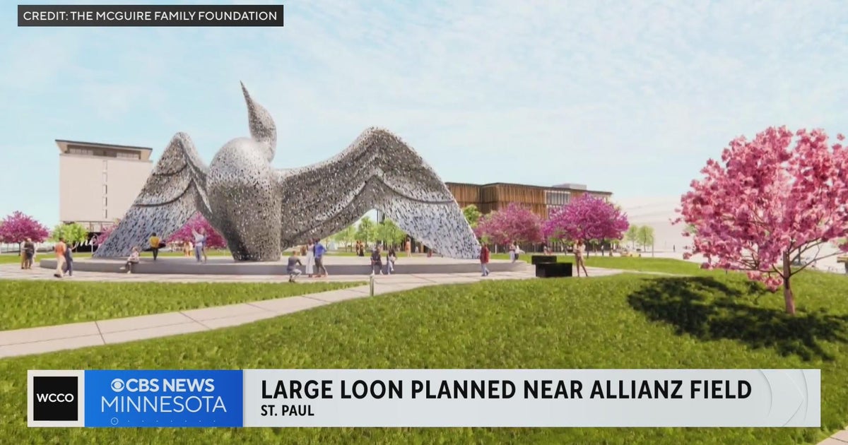 Large loon sculpture planned near Allianz Field - CBS Minnesota