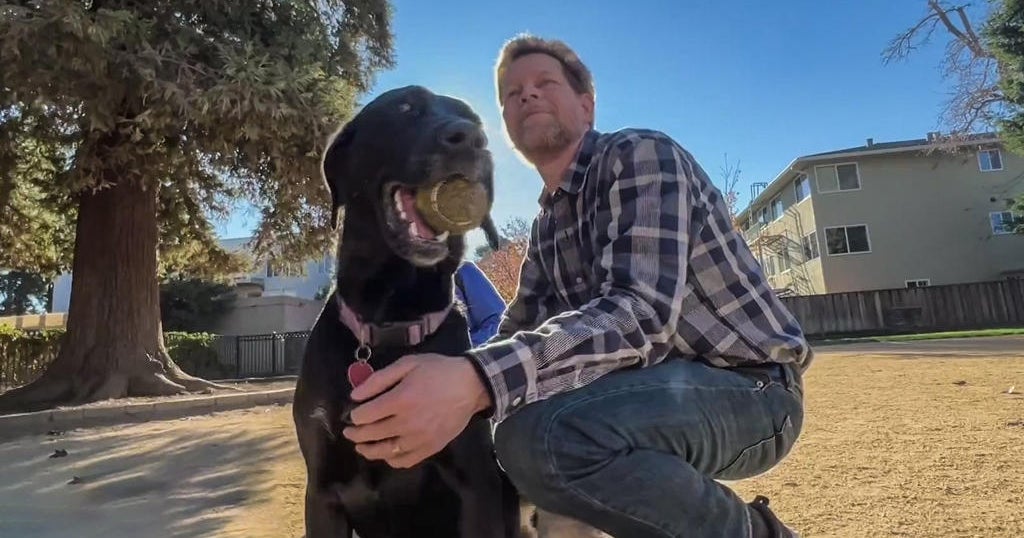 FDA approves medication that extends the lifespan of dogs - CBS San ...