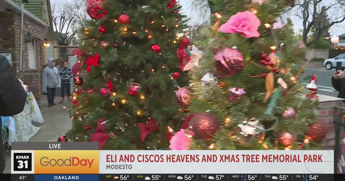 Eli & Cisco's Heavens Xmas Tree Memorial Park, 7am - Good Day Sacramento