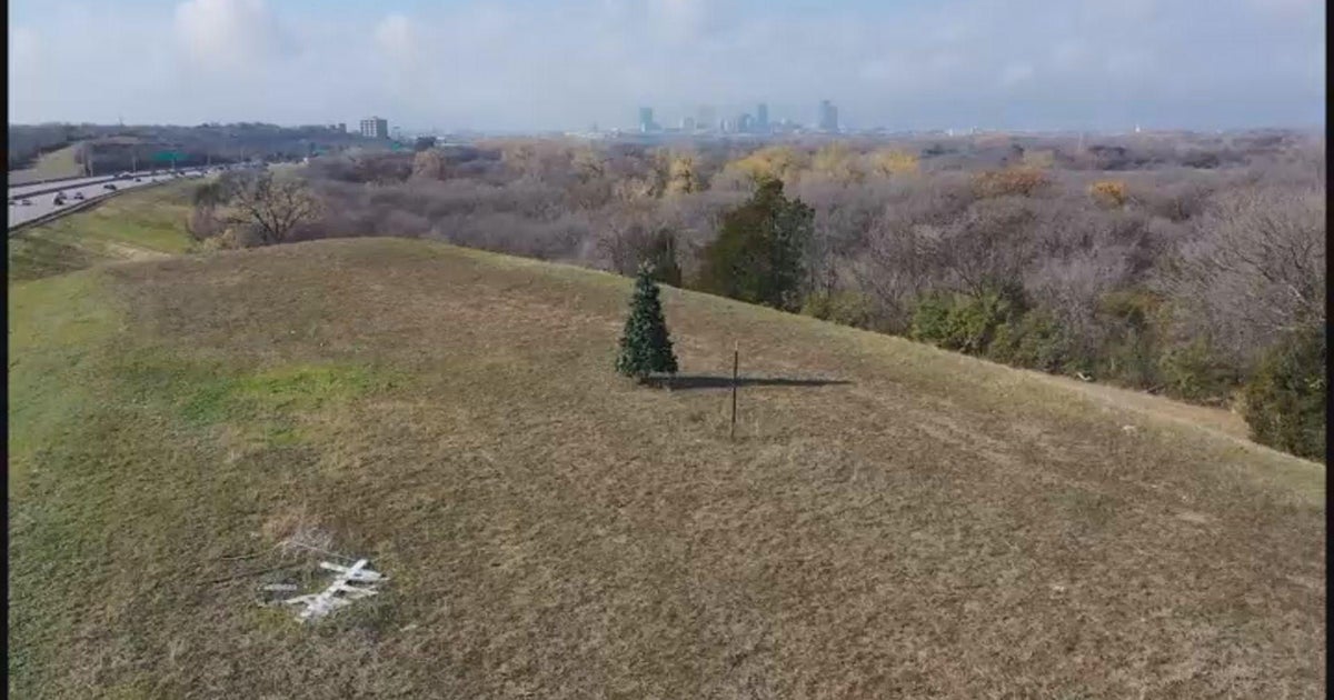 A new 'homeless' tree in Fort Worth preserves the deep-rooted spirit of ...