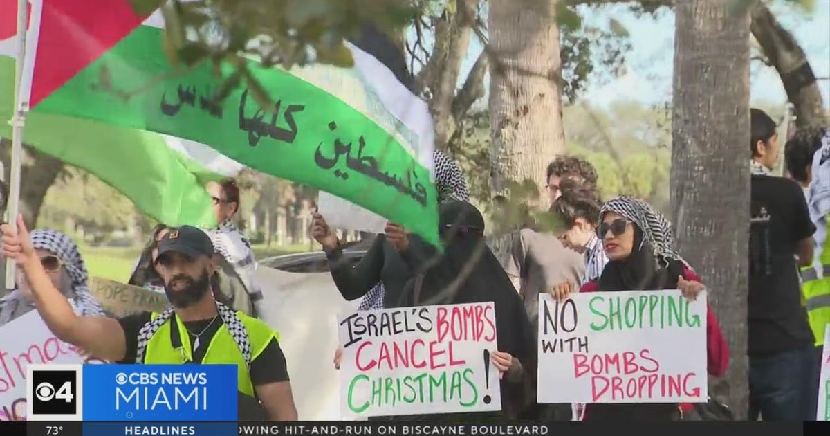 Pro-Palestinian protesters demonstrate in front of Sawgrass Mills Mall ...