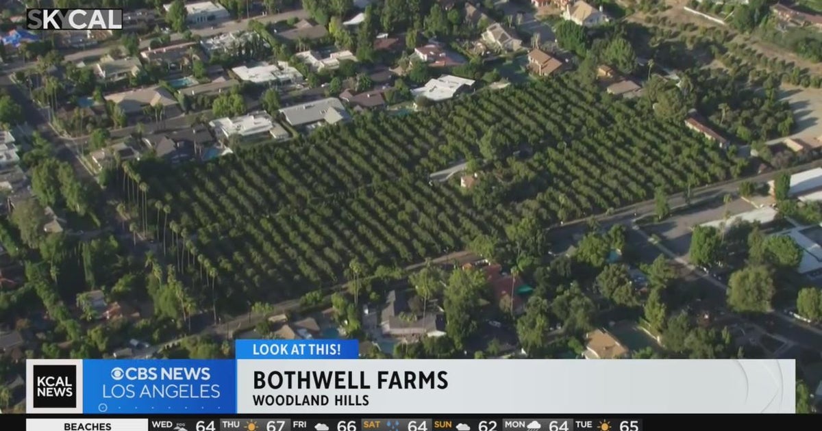 Bothwell Farms | Look At This! - CBS Los Angeles