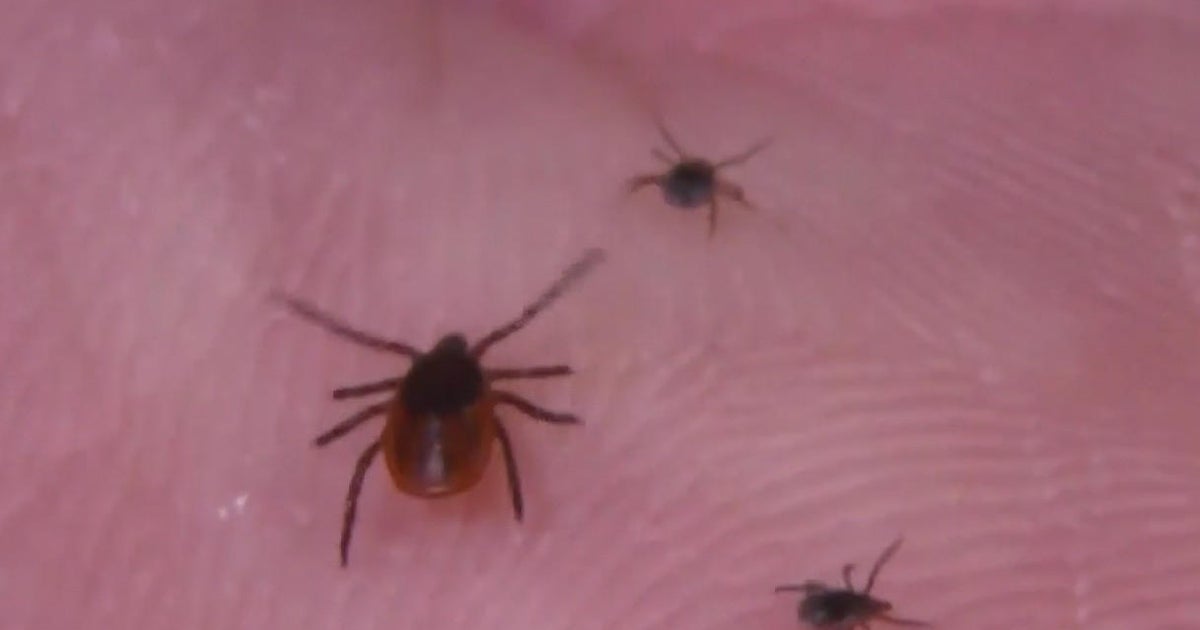 Warmer temperatures allowing ticks to extend their fall feeding time ...