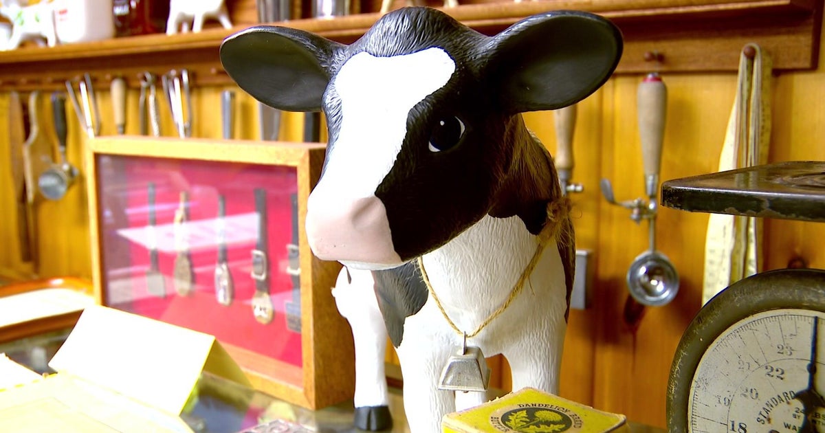 How did a dairy museum end up in a Minnesota bank basement? - CBS Minnesota