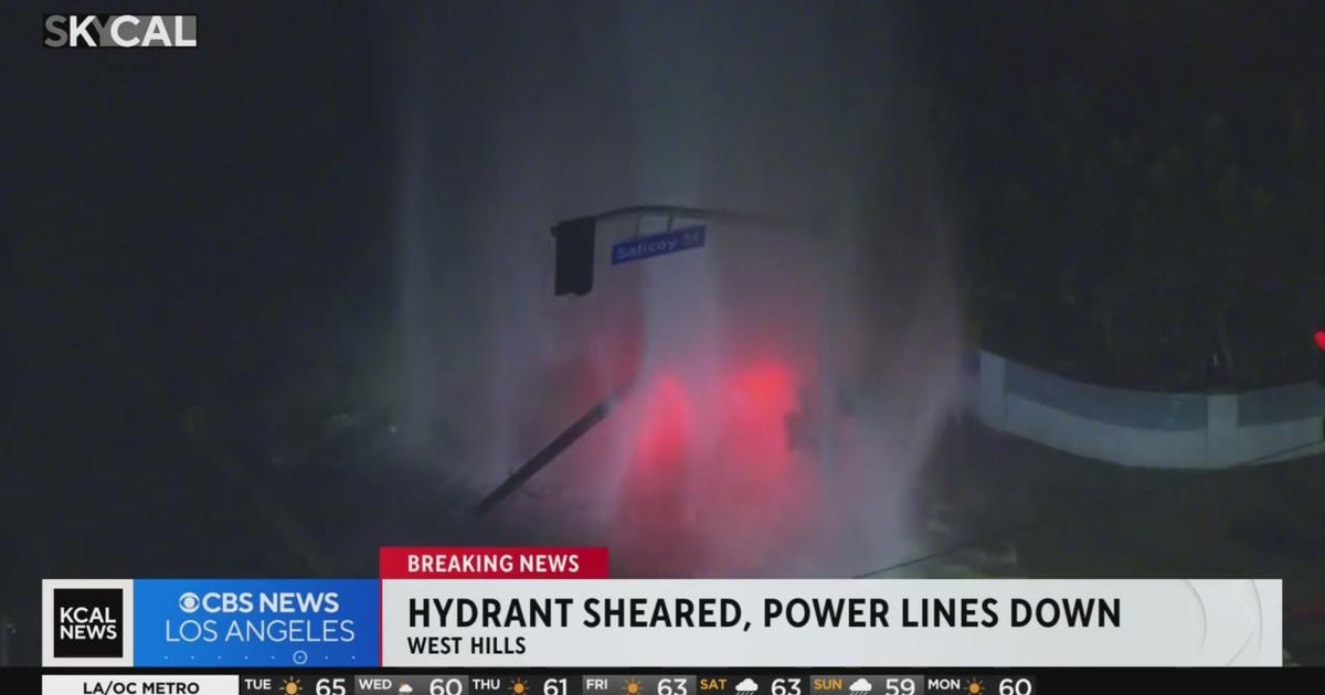 Driver knocks down power lines and shears hydrant in violent crash ...
