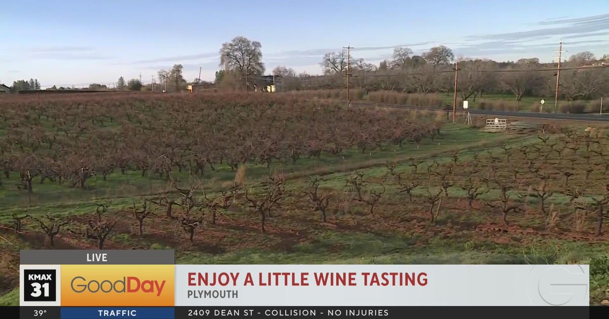 Wine tasting in Plymouth! - Good Day Sacramento