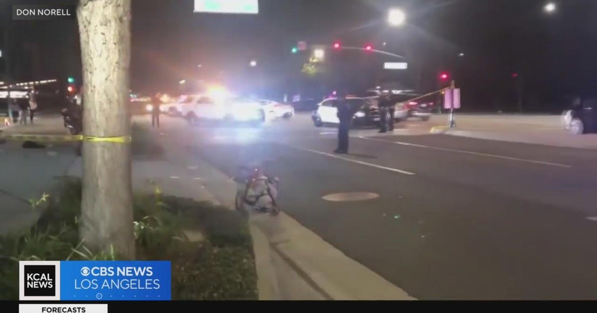 Police continue search for hit-and-run driver that killed 75-year-old woman - CBS Los Angeles