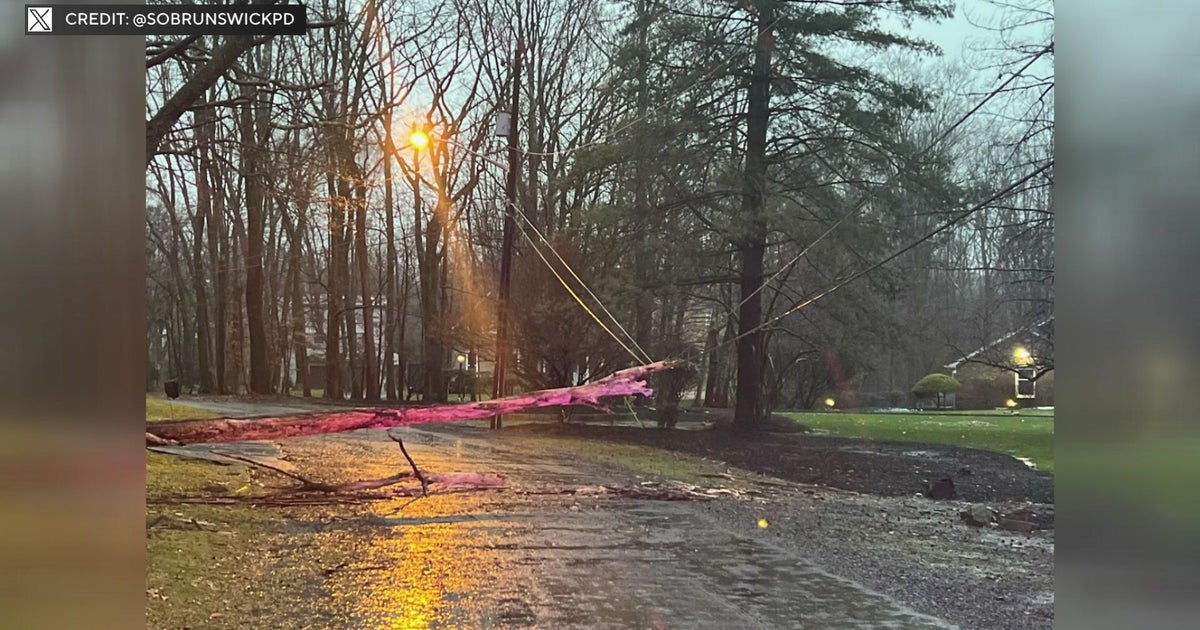 High Wind Warning in parts of New Jersey raises concerns about power ...