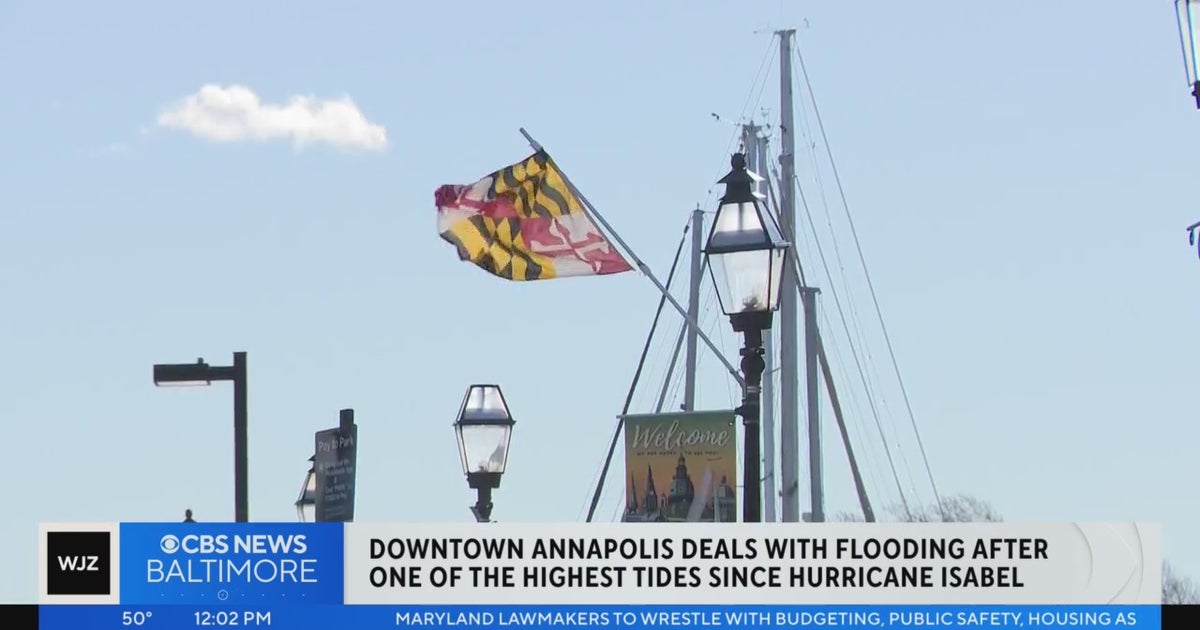 Downtown Annapolis sees record flooding, new barriers serve as ...