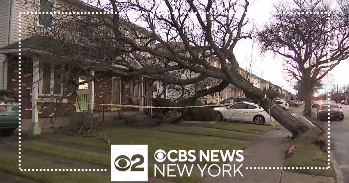 Gusty winds uproot trees on Staten Island - CBS New York