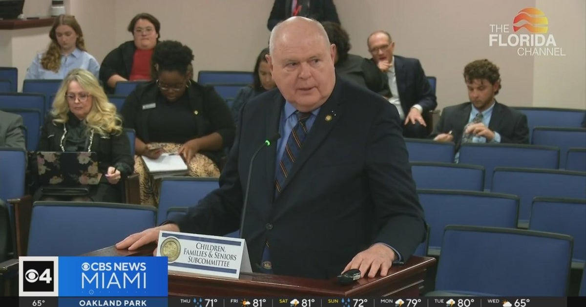 Florida Legislature to address mental health during session - CBS Miami