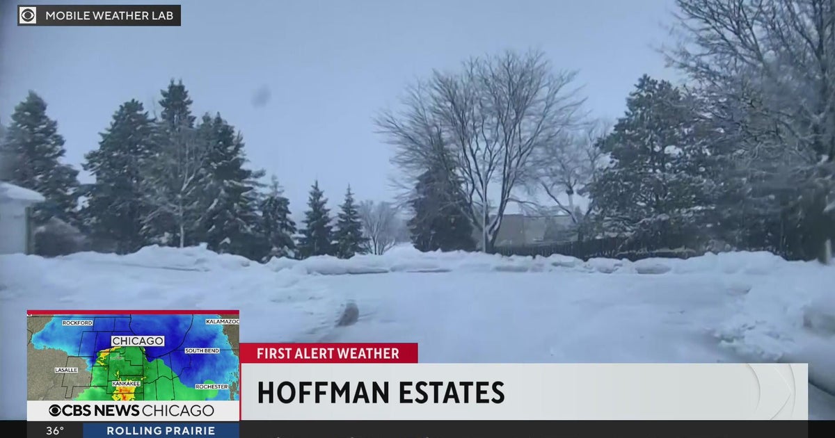 Slushy snow covers the suburbs - CBS Chicago