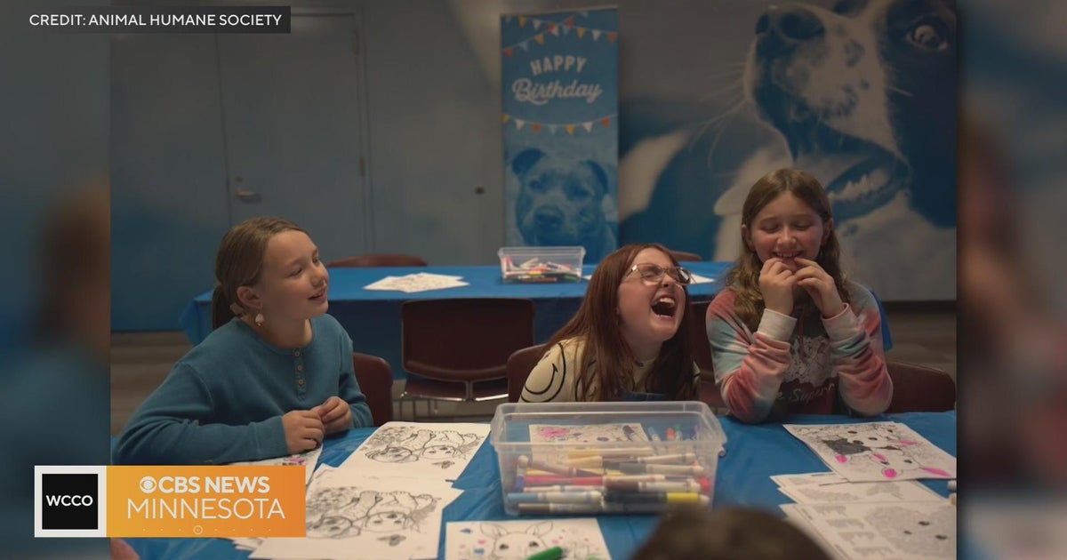 How you can have a birthday party with the Animal Humane Society - CBS ...