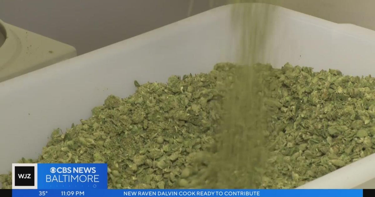 Marijuana data dashboard helps local weed shops tweak customer service ...