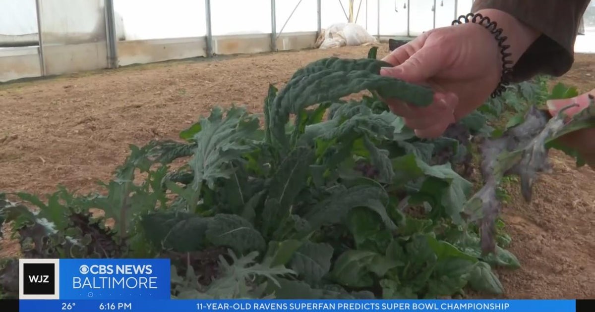Maryland Department of Agriculture's program links people to local ...