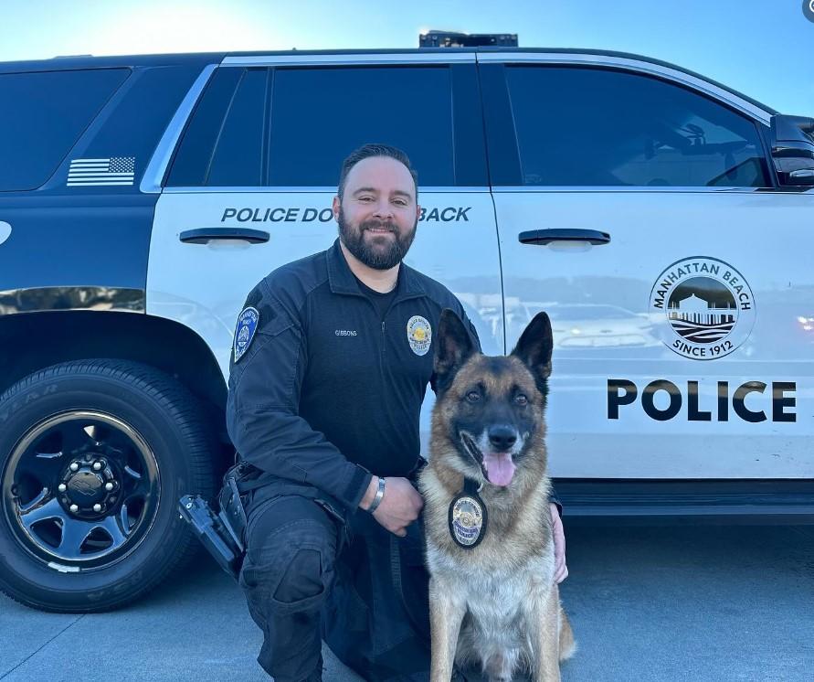Manhattan Beach police dog retires with career highlight of 2,500 ...