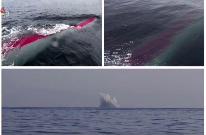 North Korea says it tested underwater nuclear attack drone - CBS News