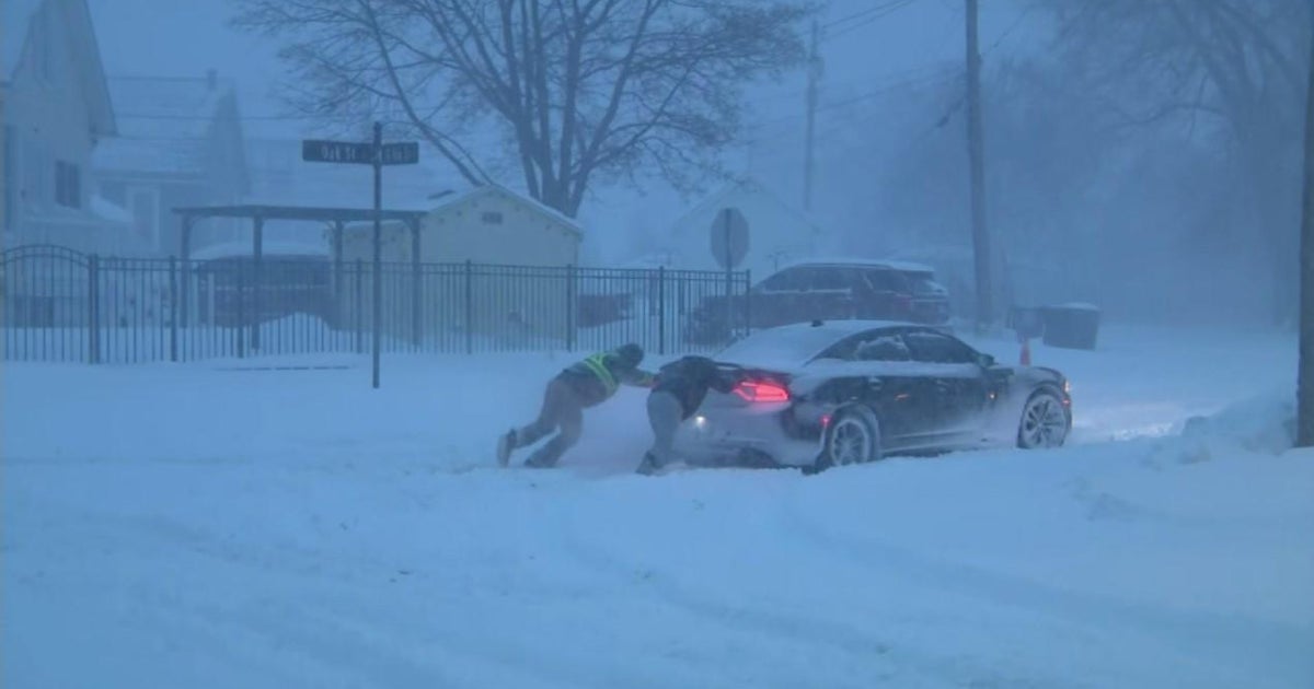 How much snow in Chicago area? Snow totals from today's winter storm ...