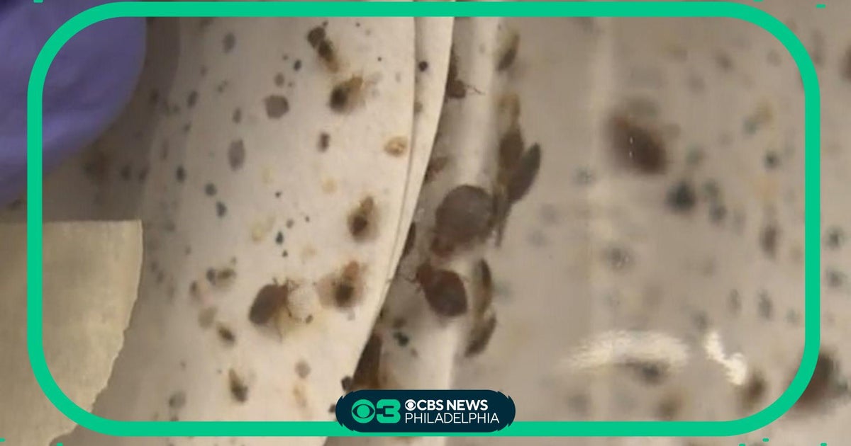 Philadelphia Ranked Among Worst Cities In United States For Bed Bugs