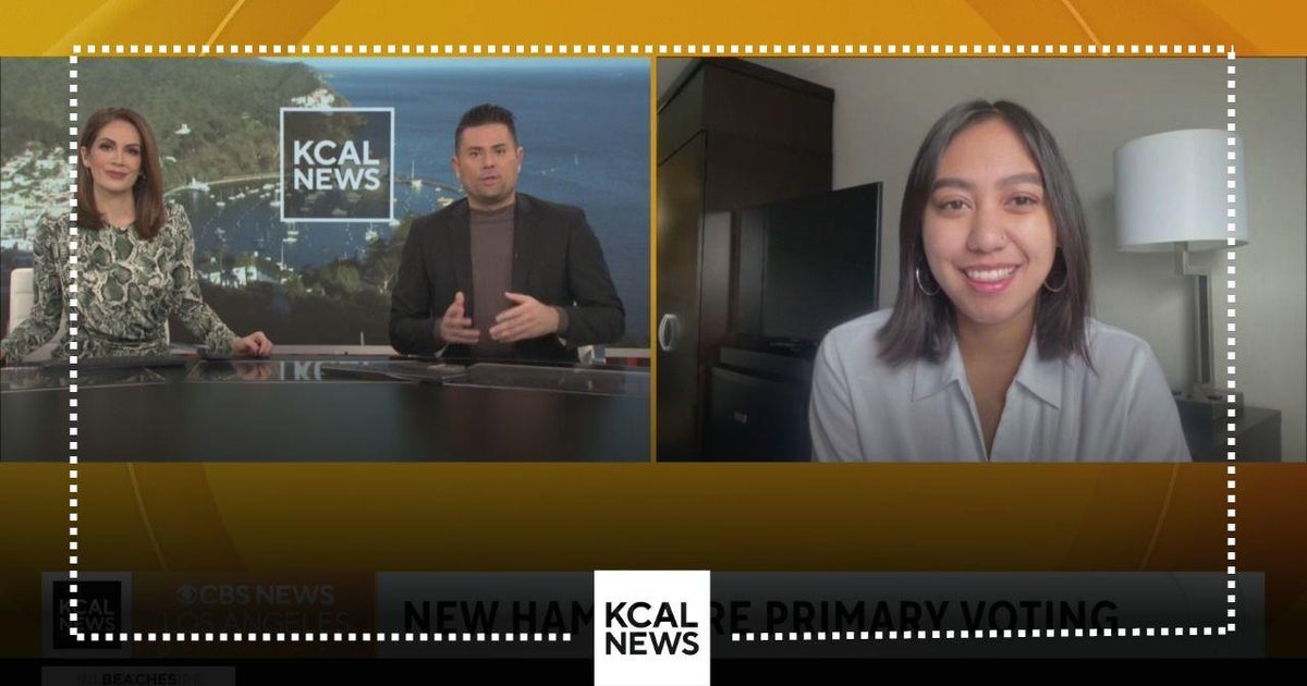 An analysis of New Hampshire's primary voting with New York Times ...