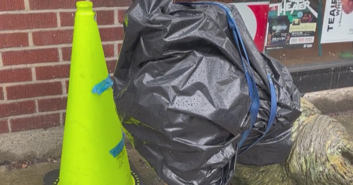 Dog statue outside Millvale Community Library vandalized - CBS Pittsburgh