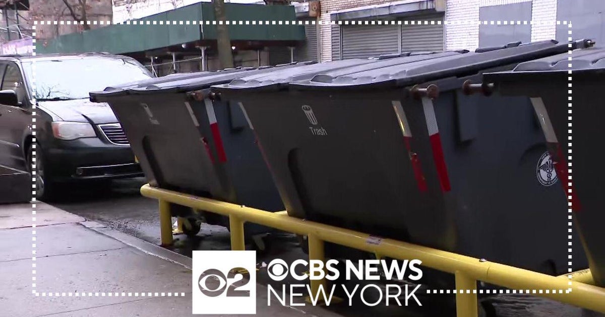 Exclusive: New York City to expand trash and rat mitigation pilot ...