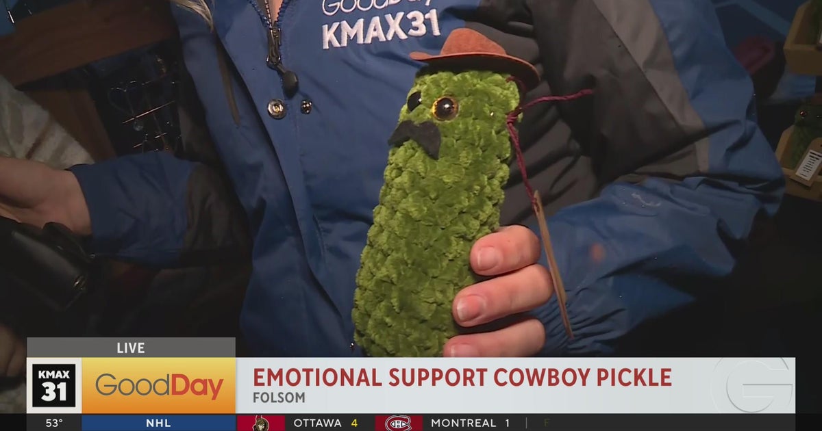 Emotional Support Cowboy Pickle - Good Day Sacramento