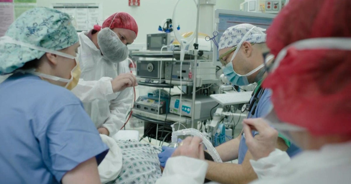 Breakthrough gene therapy could offer hope for treating hereditary ...