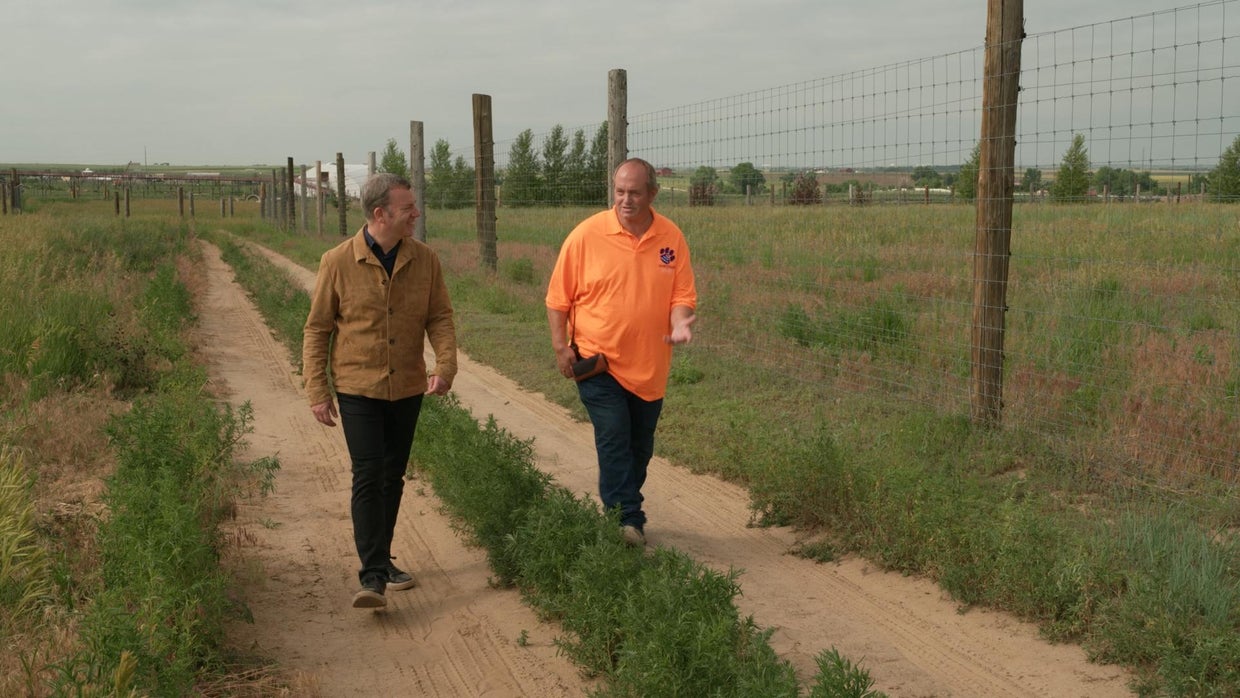 Sanctuary founder rehabilitates animals removed from Puerto Rico zoo ...