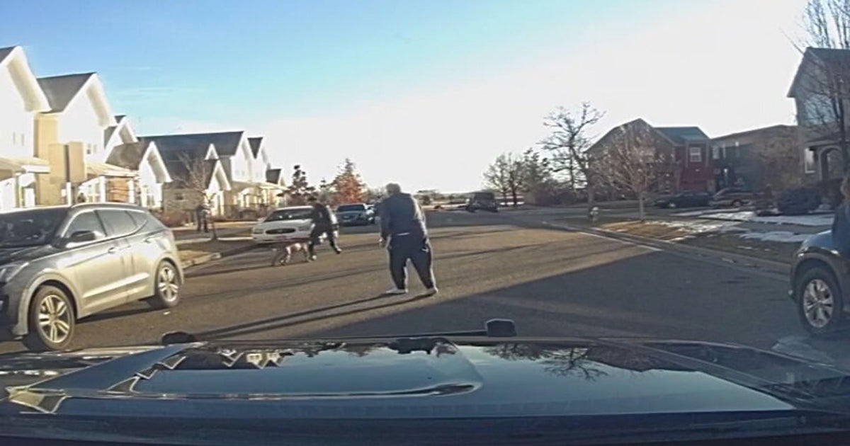 Boulder police shoot dog attacking owner, Colorado officer after taser ...