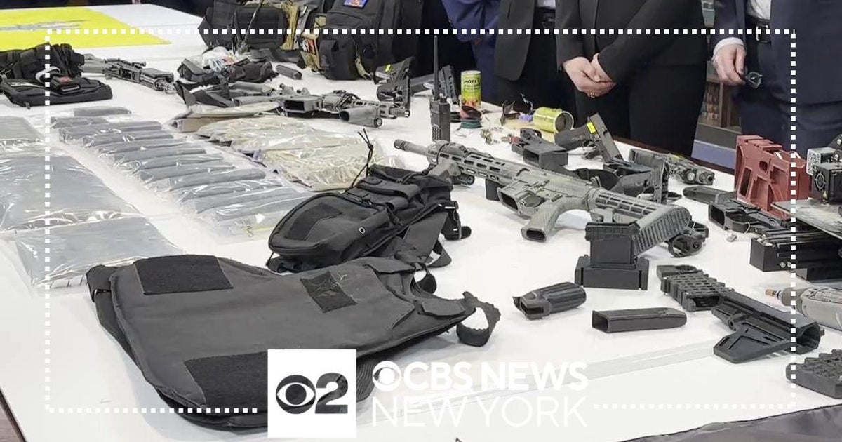 2 brothers face weapons, explosive charges - CBS New York