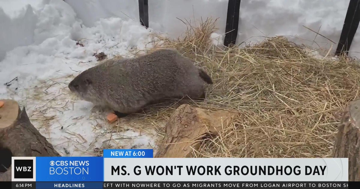 Ms. G will be sidelined from traditional Groundhog Day event in ...